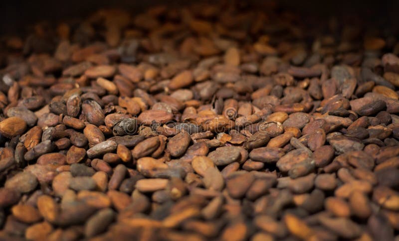 Cocoa Beans Close-up, Top View. Stock Image - Image of dried, cacao ...