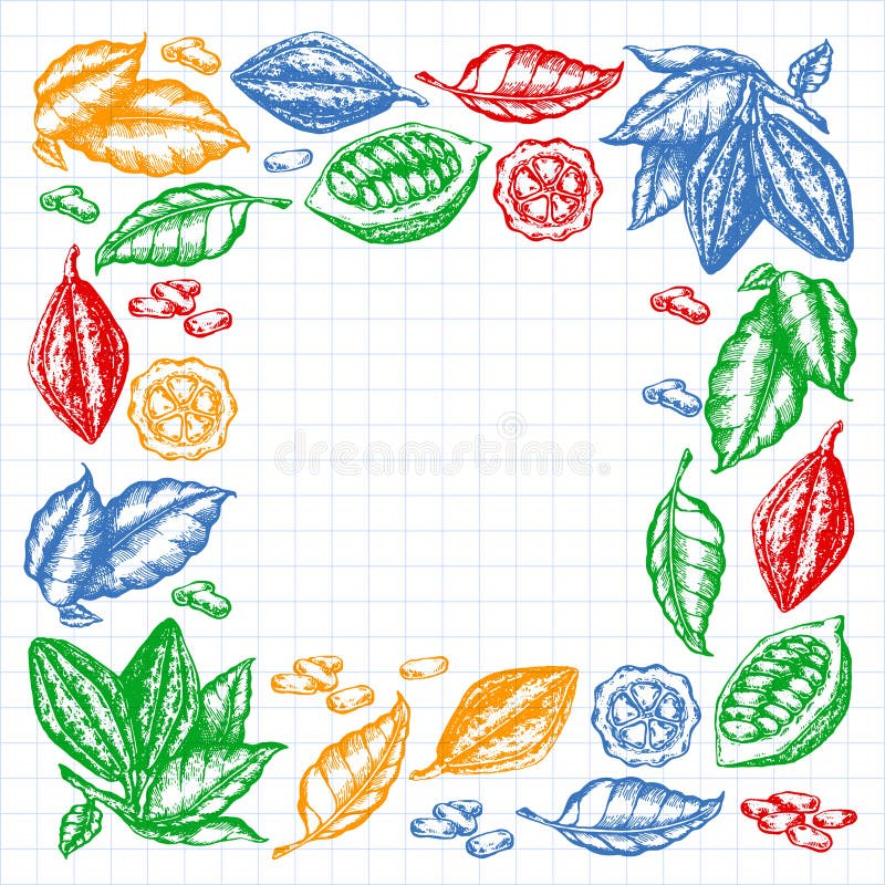 Cocoa Beans Illustration. Engraved New Style, Colorful, Variegated ...