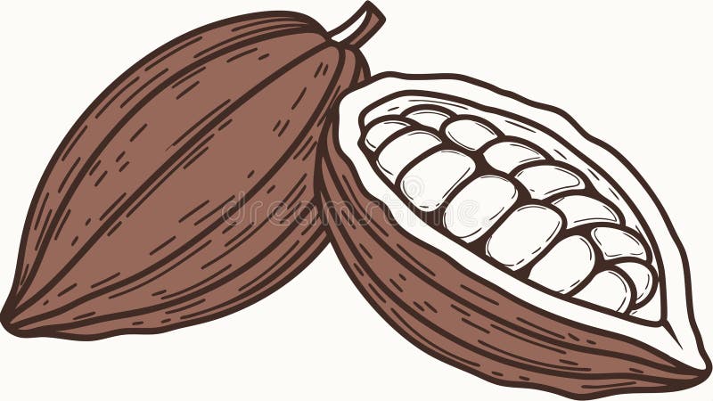 Cocoa Beans Illustration, Vector Design Generative AI Stock Vector ...