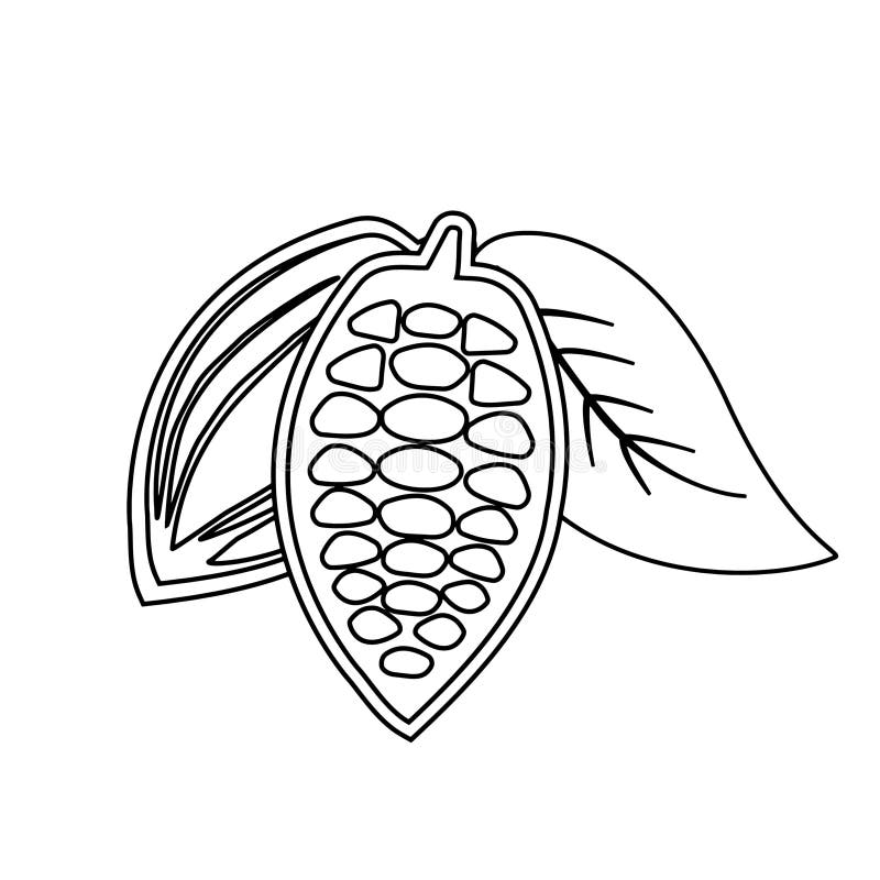 Cocoa Beans Logo Icon Design Vector Illustration Stock Vector ...