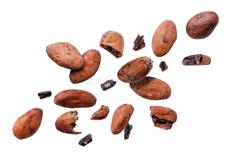 Cocoa Beans and Pieces Fly on a White Background. Isolated Stock Photo ...