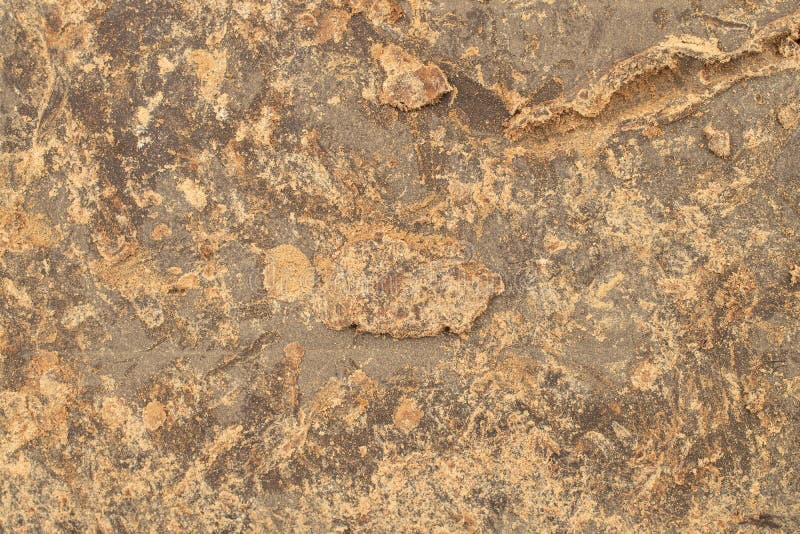 248 Friable Skin Stock Photos - Free & Royalty-Free Stock Photos from ...