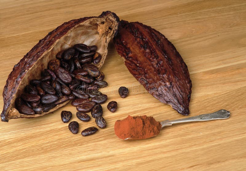 Cocoa Beans and Fruits stock photo. Image of cacao, material - 18864746