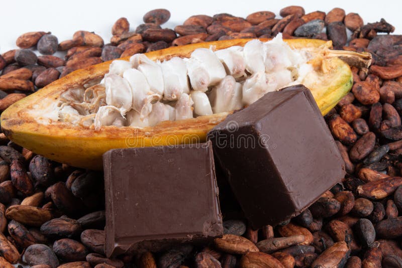 Cocoa Fruit Cut with Raw Cocoa Beans and Pieces of Chocolate on a White ...