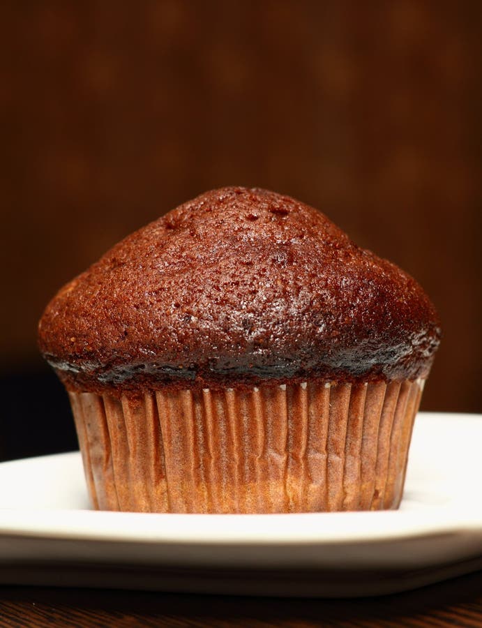 Cocoa muffin stock photo. Image of dessert, snack, delicious - 27694606