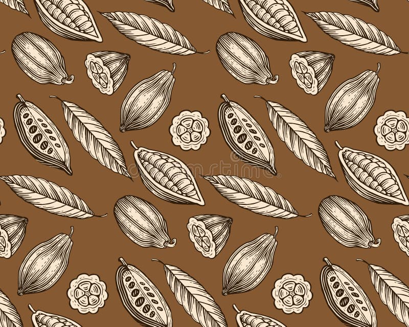 Cocoa pattern stock vector. Illustration of peel, decorative - 46426064