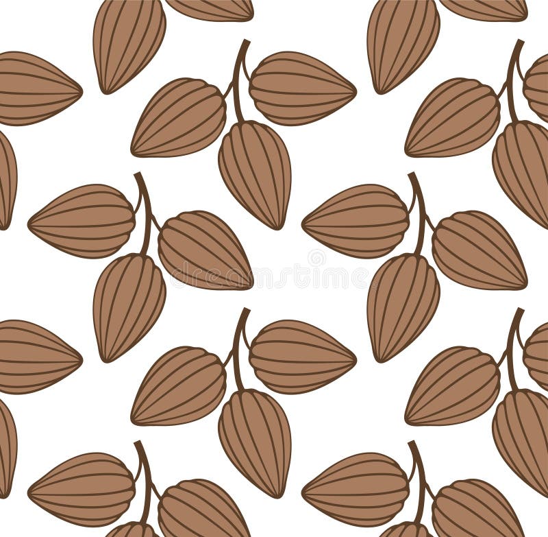 Cocoa. Pattern stock vector. Illustration of background - 34751423