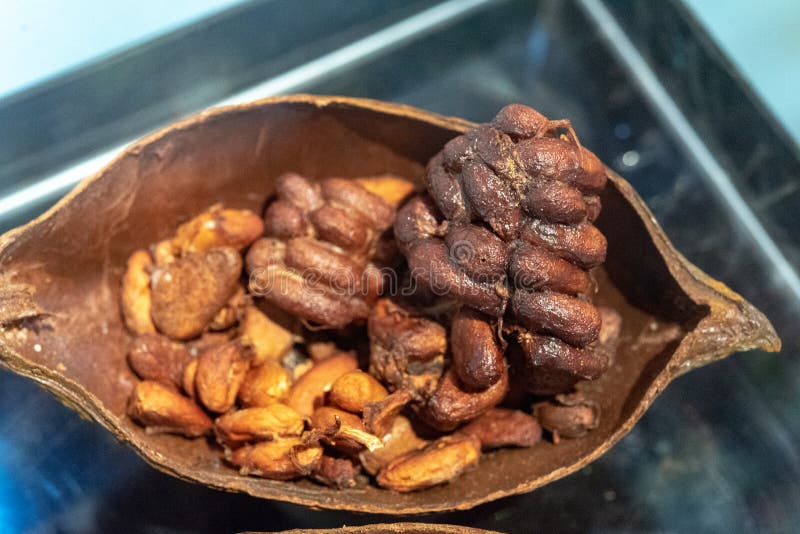 Cocoa Pod with Cocoa Beans. Stock Photo - Image of chocolate, flavor ...