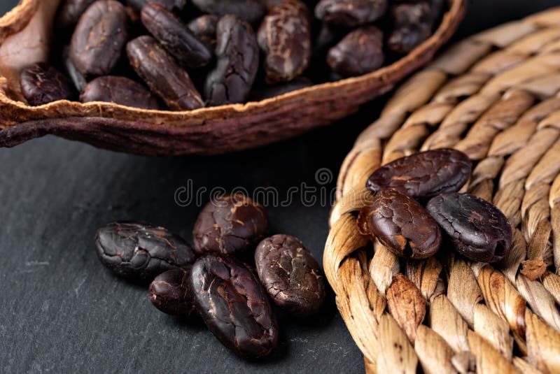 Cocoa pod stock image. Image of natural, food, grain - 161135799