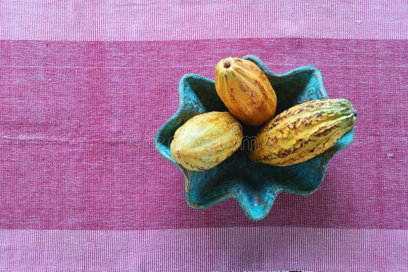 The Cocoa Pod in a Blue Bowl on the Table with a Pink Cloth Stock Image ...