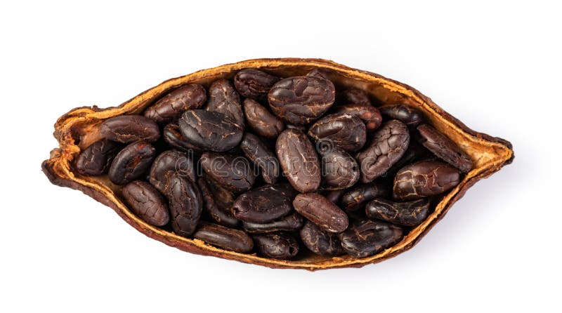 Cocoa pod stock photo. Image of ingredient, background - 158274704