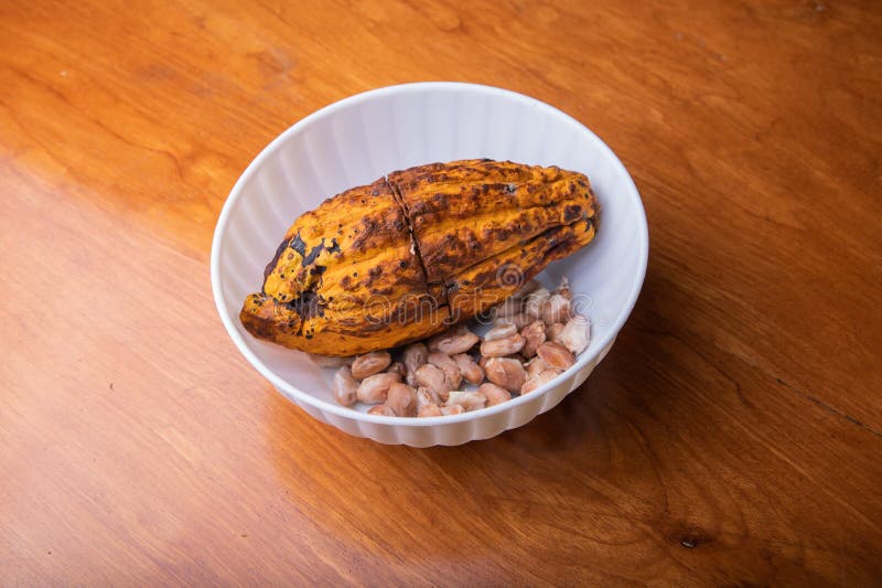 Cocoa Pod Inside a Bowl with the Beans Removed, Processing of the Beans ...