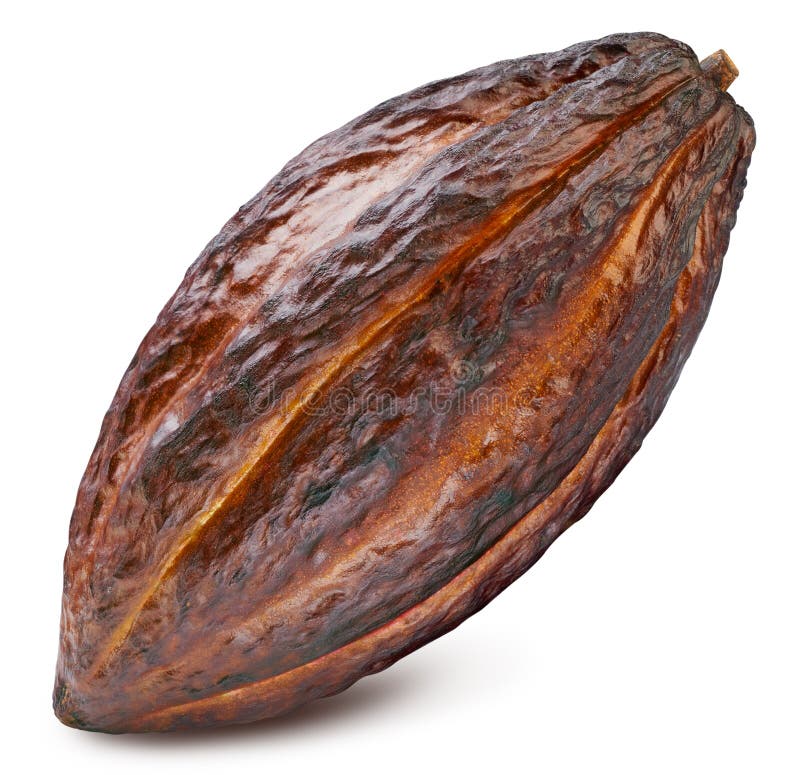 Cocoa Pod Isolated on White Background Stock Photo - Image of natural ...