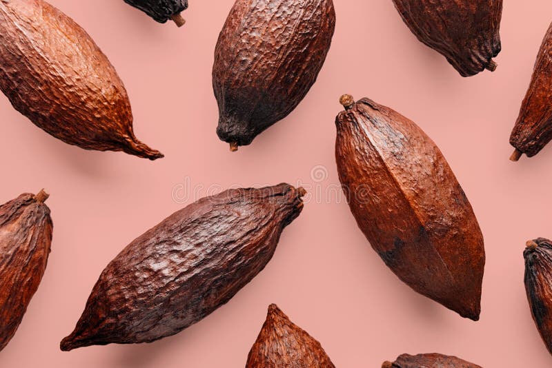 154 Different Cocoa Pods Stock Photos - Free & Royalty-Free Stock ...