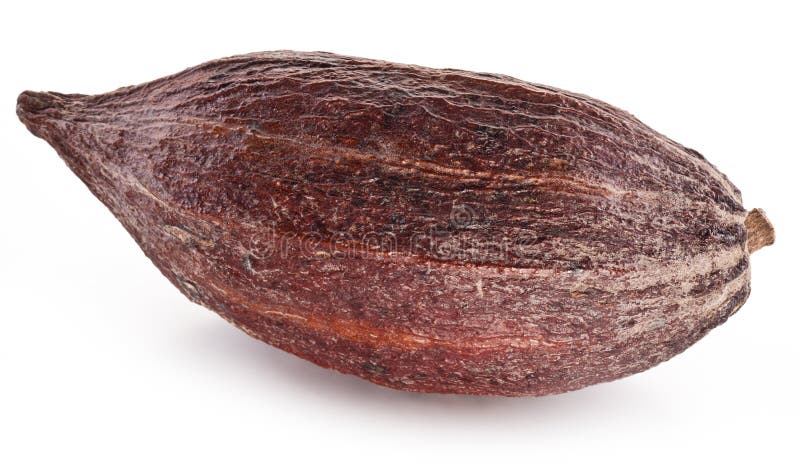 Cocoa pod stock image. Image of background, dried, chocolate - 31164525