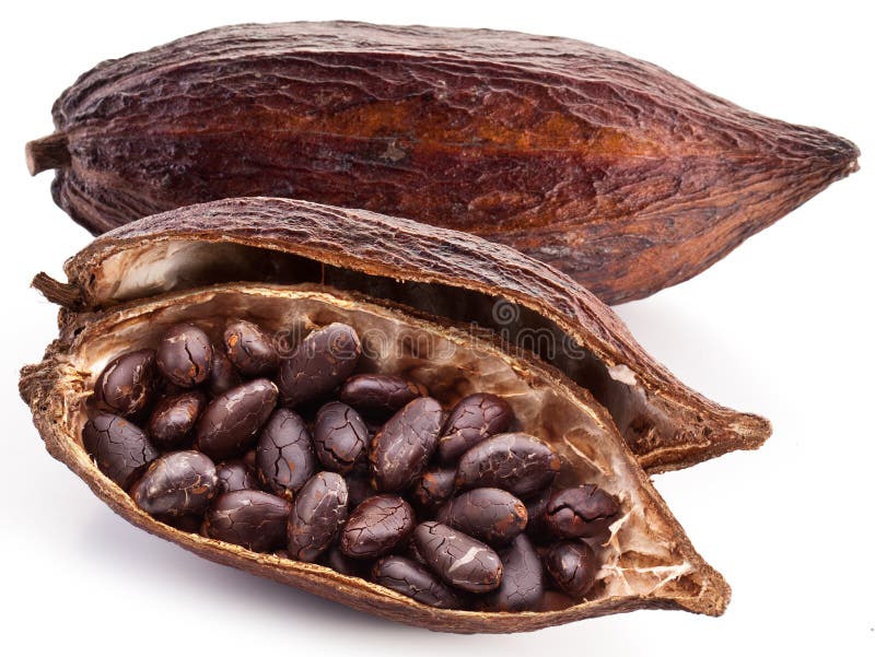 Cocoa pod stock image. Image of cocoa, background, brown - 31074525