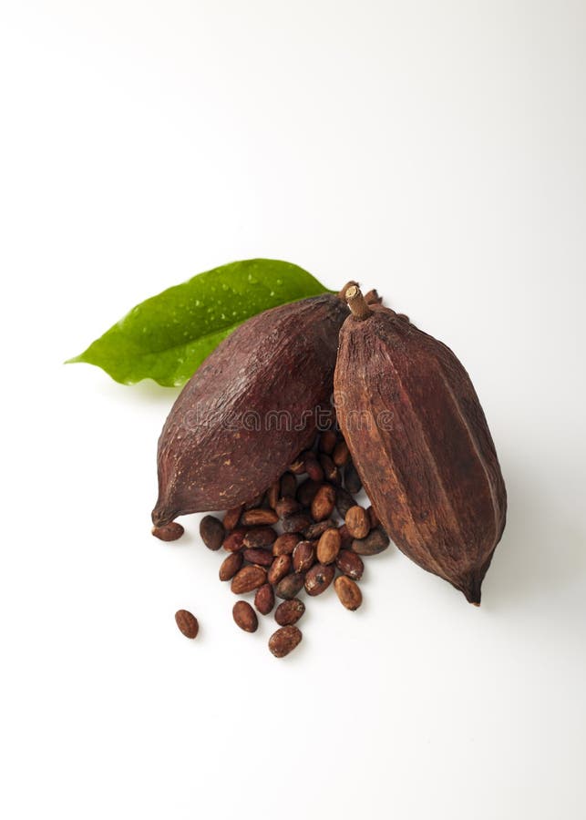 Cocoa Pods with Cocoa Leave and Seeds Stock Photo - Image of background ...