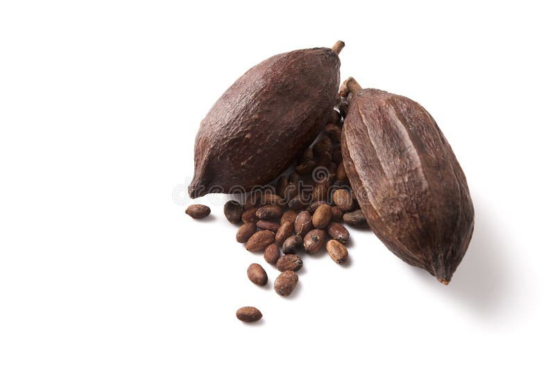 Cocoa Pods and Seeds on a White Background Stock Photo - Image of ...