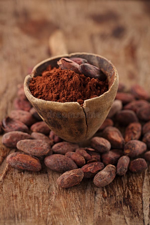 Cocoa Powder in Spoon on Roasted Cocoa Chocolate Beans Back Stock Image ...