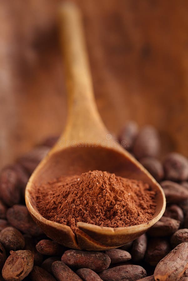 Cocoa Powder in Spoon on Roasted Cocoa Chocolate Beans Backgrou Stock ...