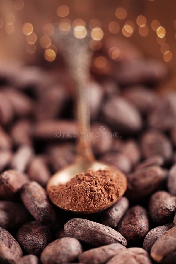 Cocoa Powder with Sugar in Spoon on Roasted Cocoa Stock Photo - Image ...