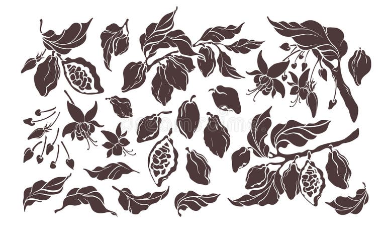 Cocoa Flower Vector Stock Illustrations – 1,737 Cocoa Flower Vector ...