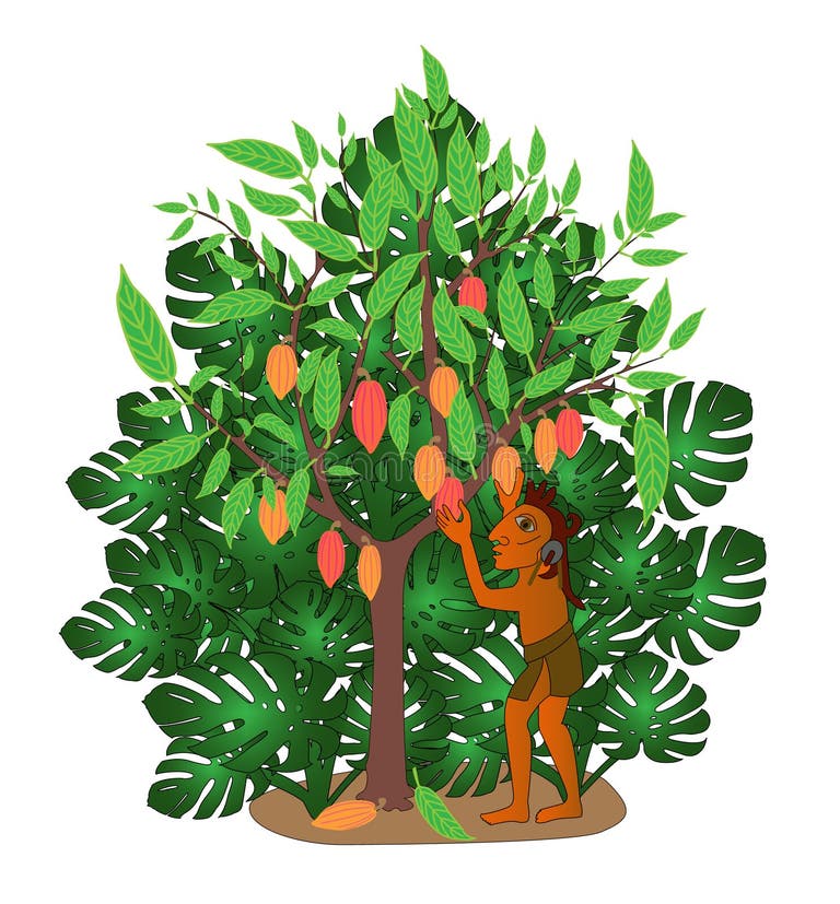 Cocoa Tree Stock Illustrations – 15,234 Cocoa Tree Stock Illustrations ...