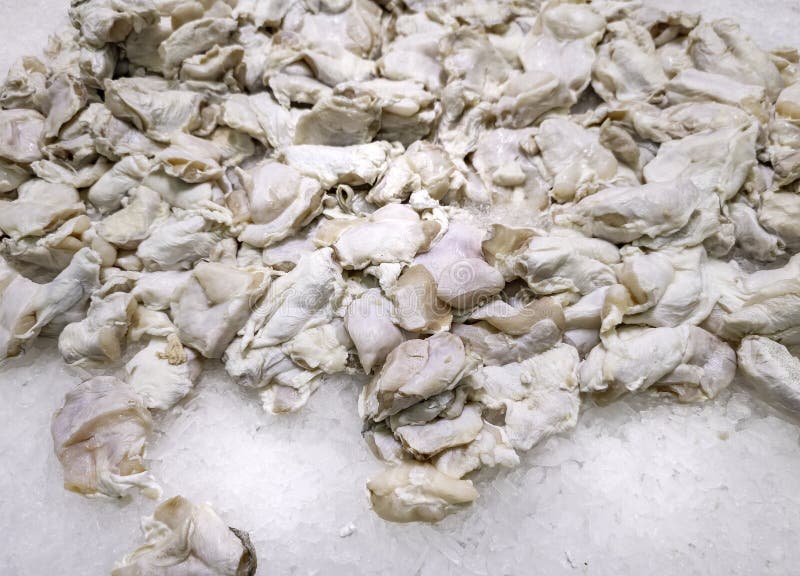 Cocochas in fishmonger stock image. Image of kokotxa - 380492443