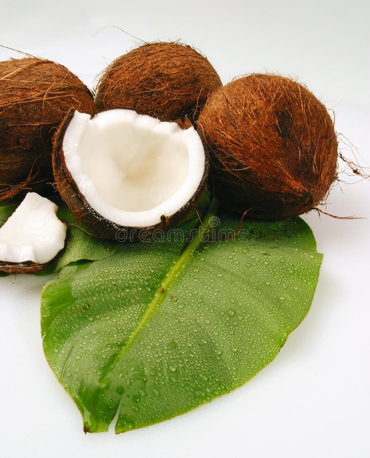 Coconut stock photo. Image of ingredient, coco, exotic - 11039674