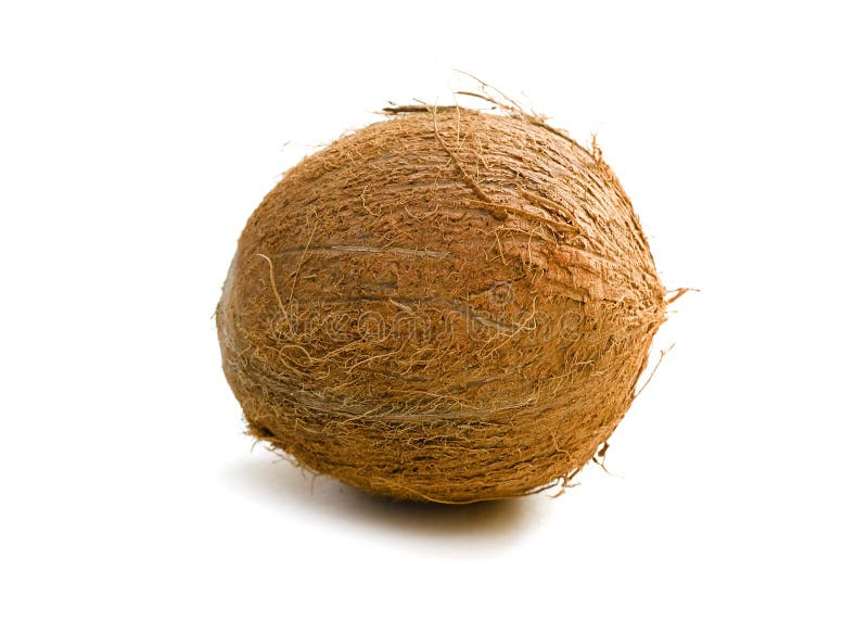 Coconut stock image. Image of eating, isolated, ingredient - 12976019