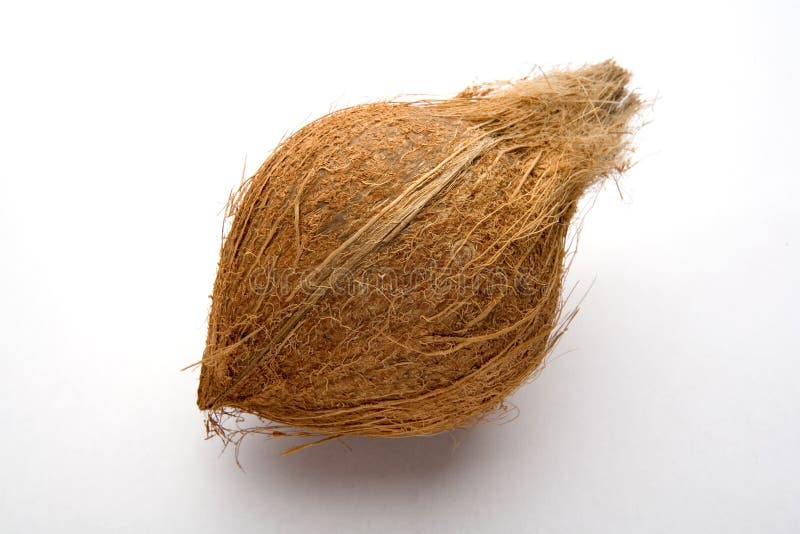 COCONUT DRINK stock image. Image of coco, pipe, coconut - 1516257