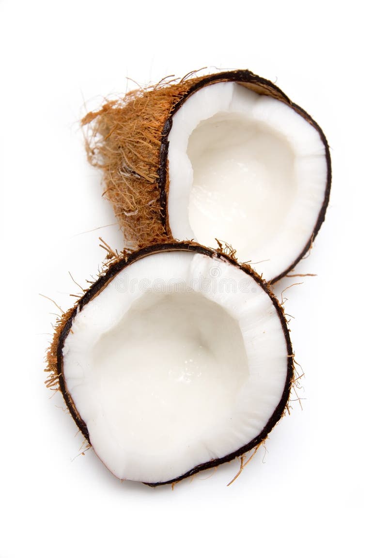 2,633 Two Coconut Isolated Stock Photos - Free & Royalty-Free Stock ...