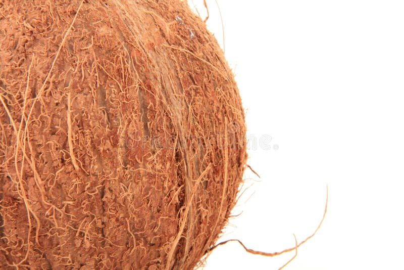 Coconut Skin Texture stock image. Image of rough, nucifera - 43110773