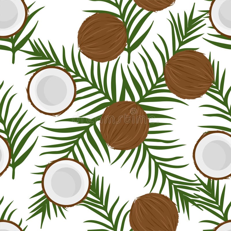 Coconut. Seamless Vector Patterns Stock Illustration - Illustration of ...