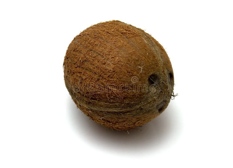 Coconut 2 stock image. Image of eatable, meat, sweet, extreme - 1971249