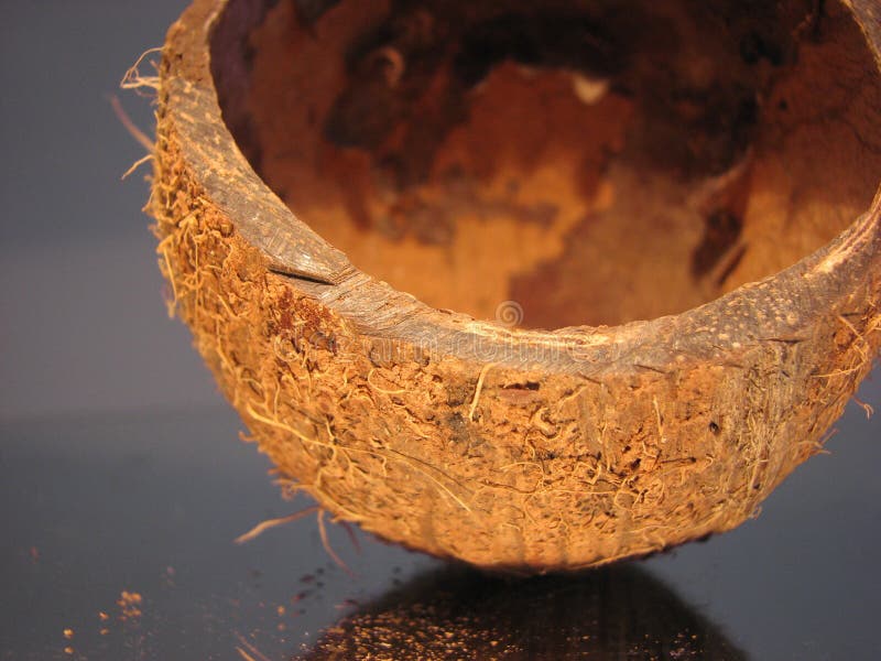 Broken coconut shell stock photo. Image of tropical, objects - 18021210