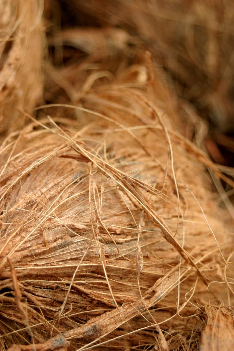 52,316 Coconut Texture Stock Photos - Free & Royalty-Free Stock Photos ...