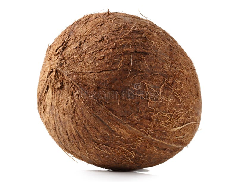 Coconut shell texture stock image. Image of coconut, natural - 5756889