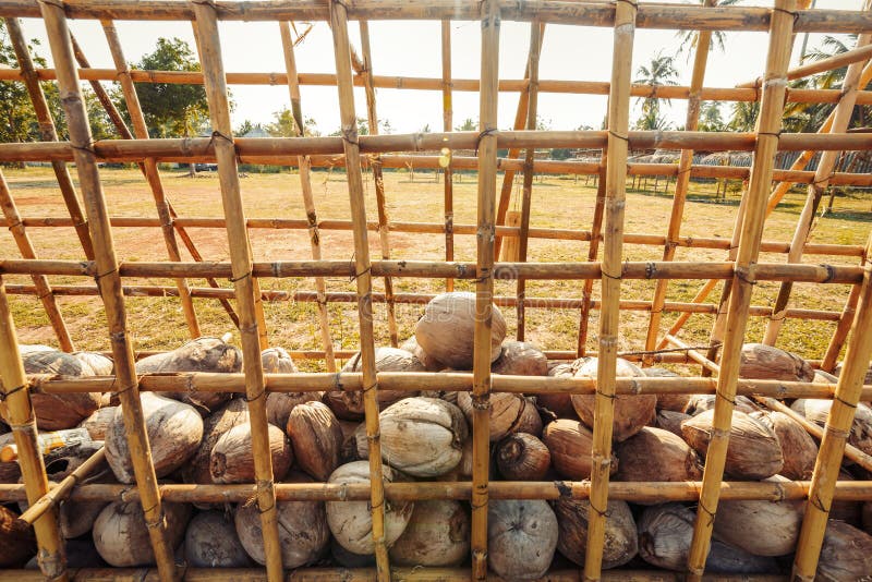 Bamboo Cage, Jail in Vietnam Stock Image - Image of penitentiary ...