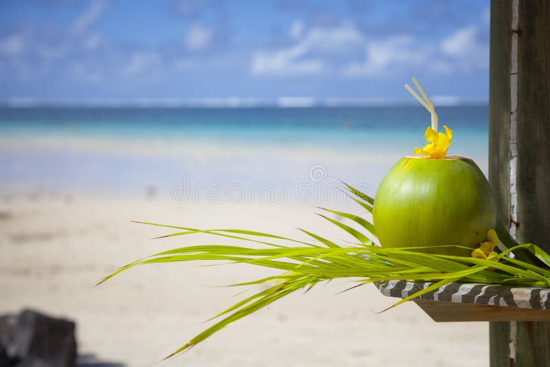 Coconut stock image. Image of caribbean, holiday, locations - 49477743