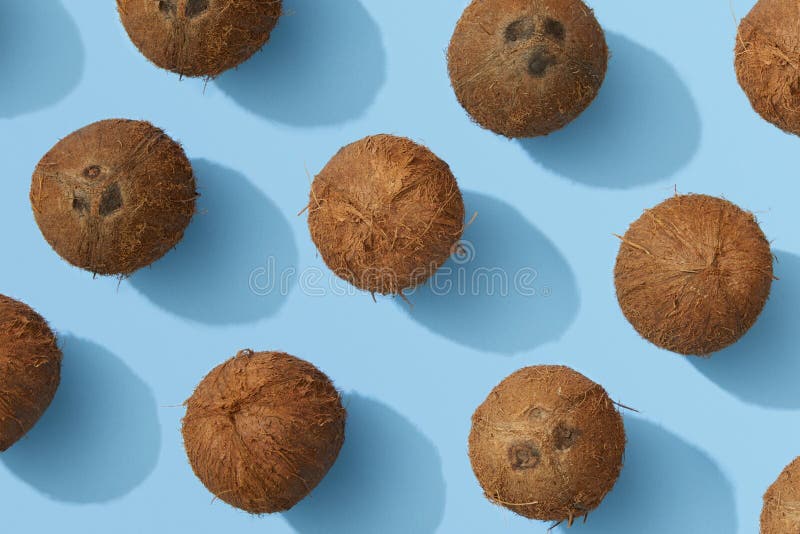 Coconut on Blue Background, Flat Lay Stock Image - Image of color ...
