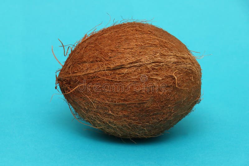 Coconut on blue background stock photo. Image of macro - 152734440