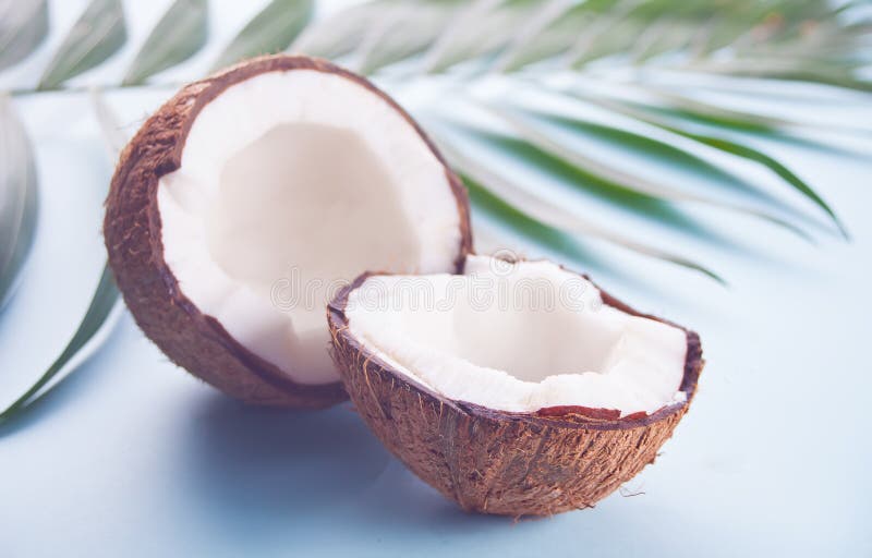 Coconut on Blue Background with Palm Leaf Stock Photo - Image of ...