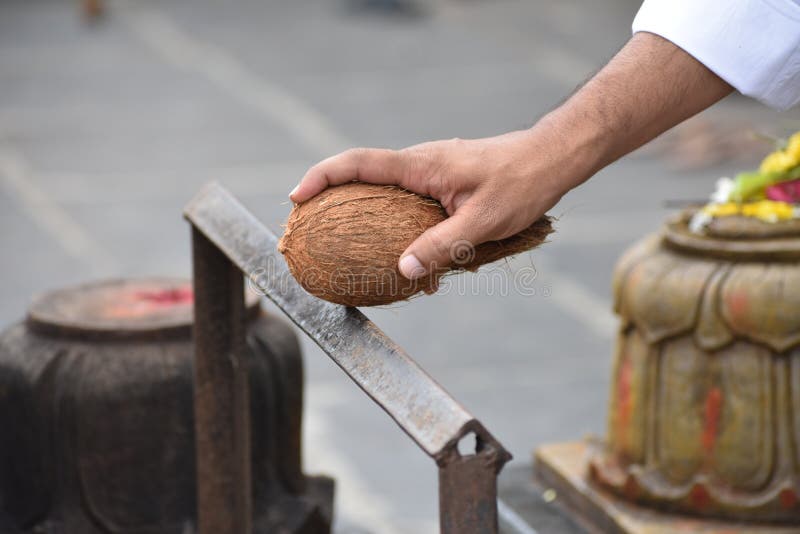 Coconut Breaking Rituals of Hindus Stock Image - Image of carving ...