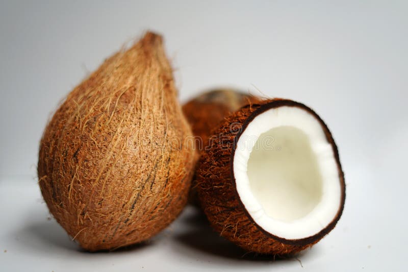 Coconut with Brown Husk Placed on White. Stock Photo - Image of exotic ...