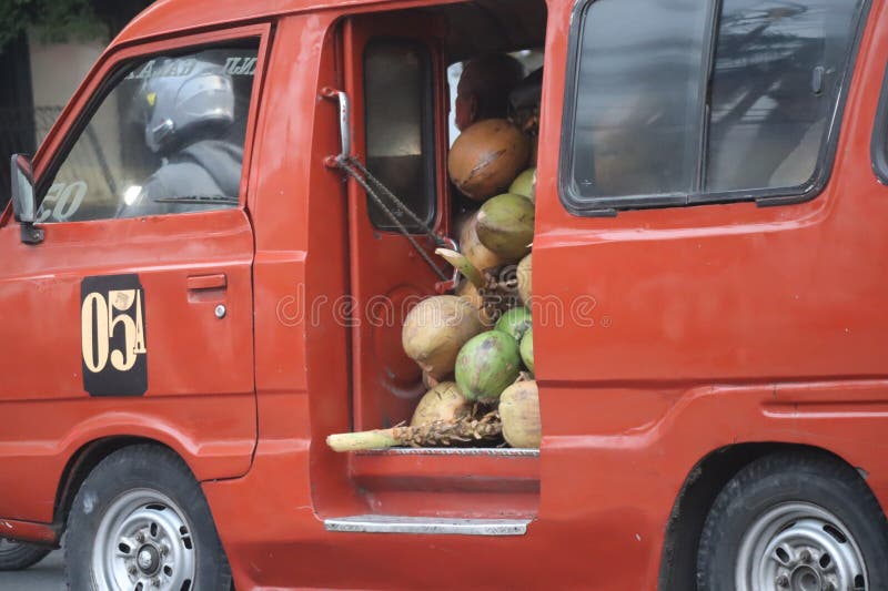 Coconut in the Car in the Morning Editorial Image - Image of transport ...