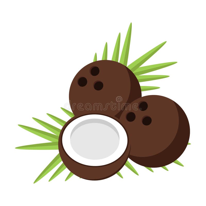 Coconut Cartoon Illustration. Stock Vector - Illustration of vegetarian ...