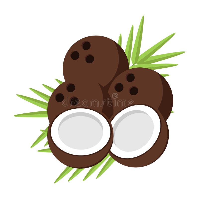 Coconut Cartoon Illustration. Stock Vector - Illustration of drawing ...