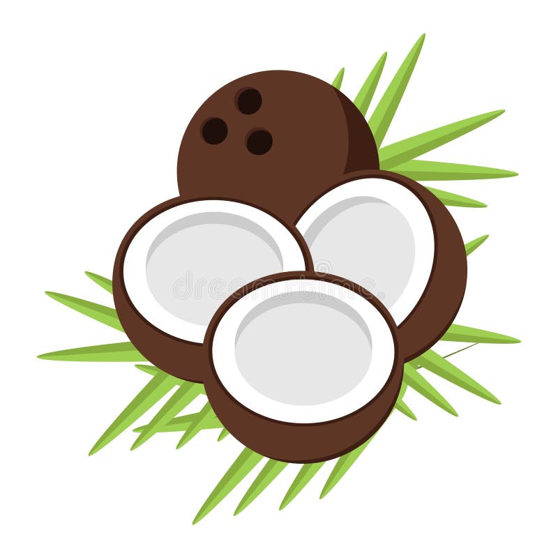 Coconut Cartoon Illustration. Stock Vector - Illustration of graphic ...