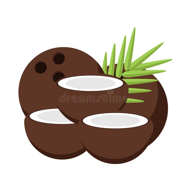 Coconut Cartoon Illustration. Stock Vector - Illustration of organic ...